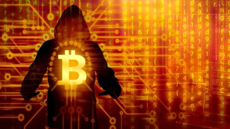 Payback Ltd Review – Helping You Recover from Various Scam Types ...